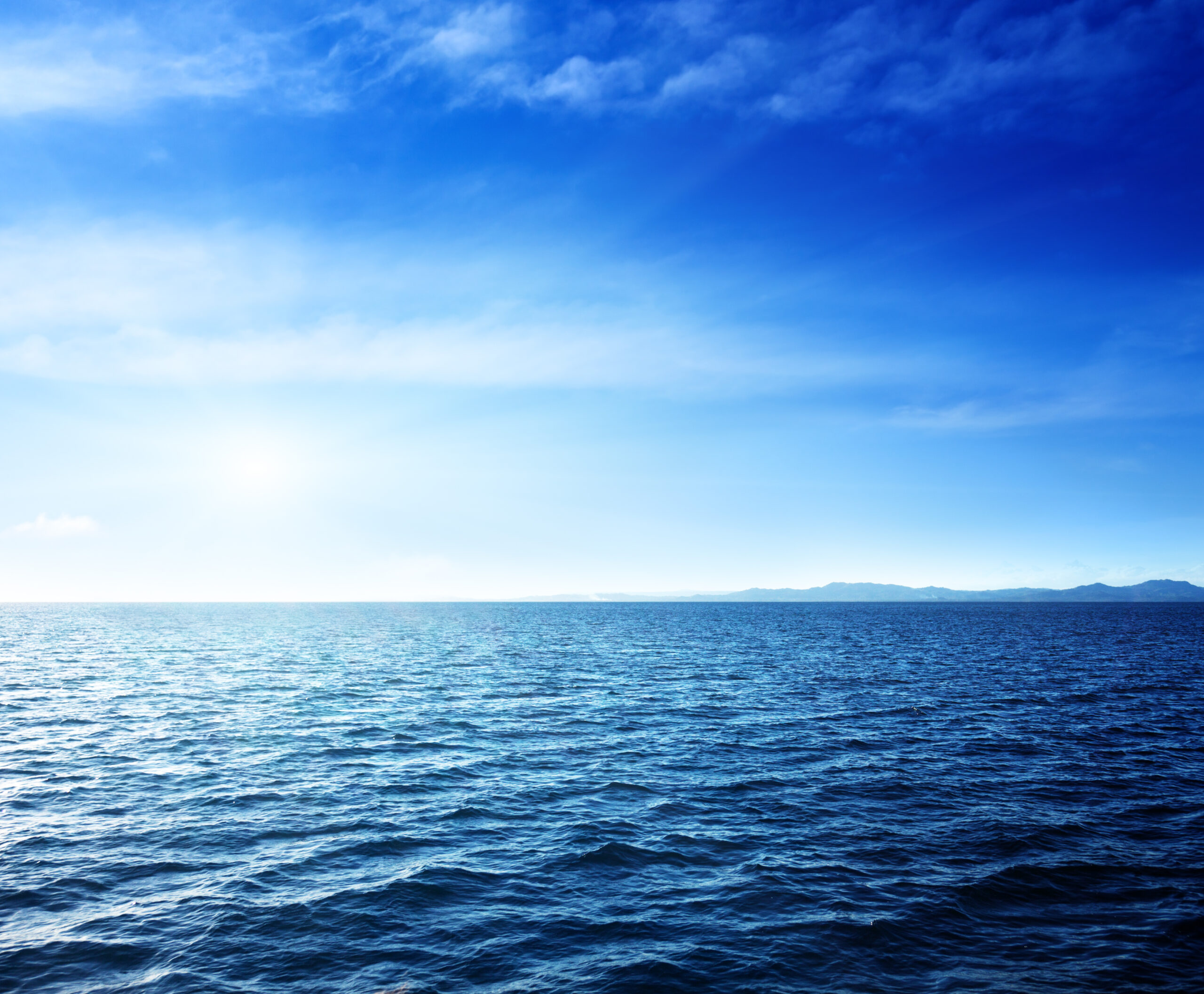 BlueBio Cofund - BlueBio Cofund